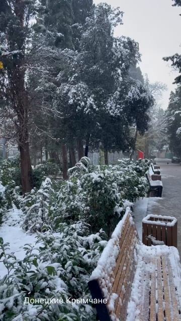 Зимняя сказка в Ялте❄️☃️