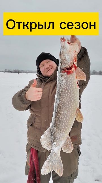Открыл сезон по щуке