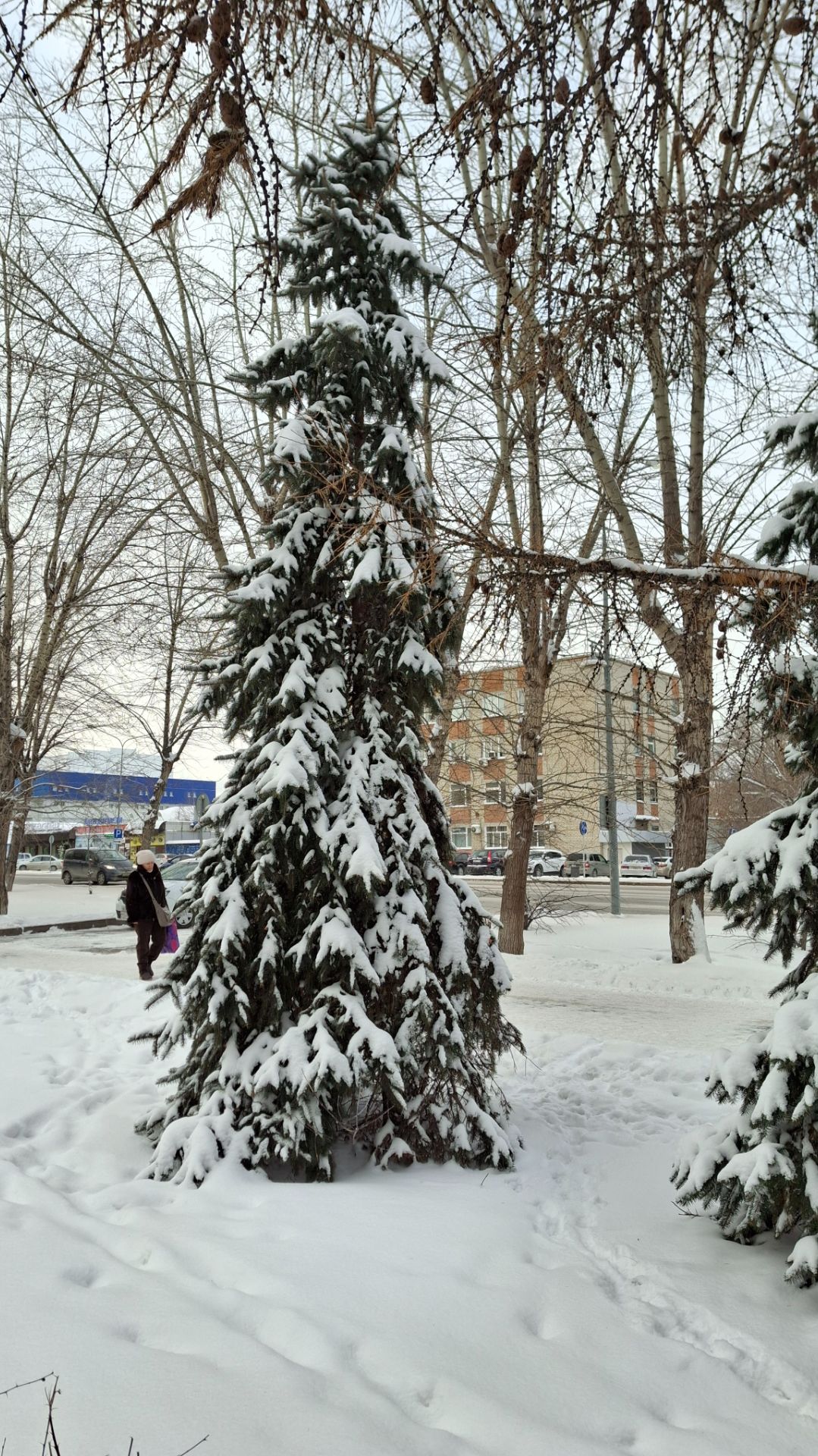 Предновогодняя метель