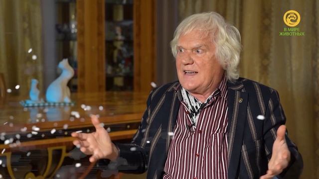 Промо Канала В Мире Животных. Новогодние марафоны