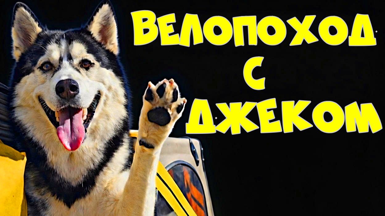 Велопутешествие с Хаски по Приэльбрусью. Страшилки о Джиннах и шакалах