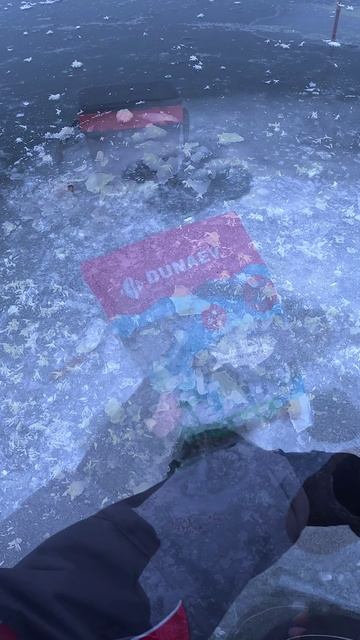 НА СТАРЫХ ЛУНКАХ...