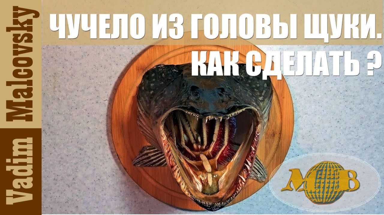 Изготовление чучела головы щуки. Мальковский Вадим