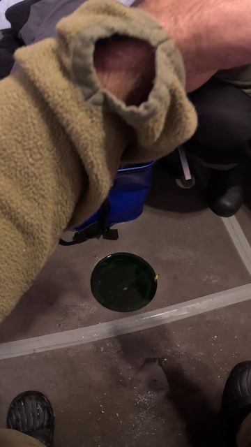 ЖОРИК У РЫБЫ