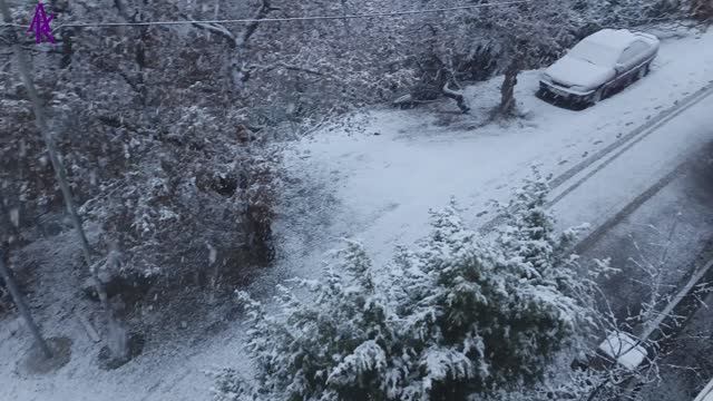 Крым. ЮБК. Гаспра. Много снега у нас! 29.12.25 #юбк #андрейкрымский #артемийкрым #гаспра#андрейлилия