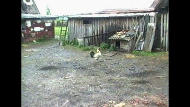 ОЛЯ САМА ГРУЗИ САМА ВОЗИ