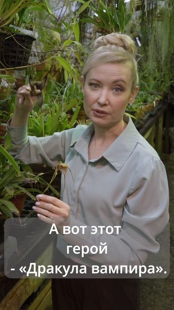 Какой цветок называют обезьяньим?