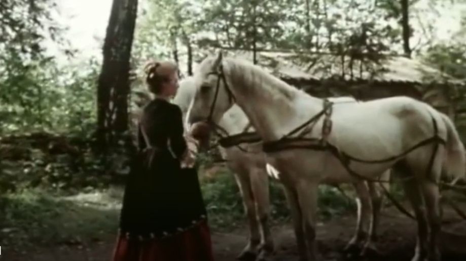 Разлука. "Вперед гардемарины !"