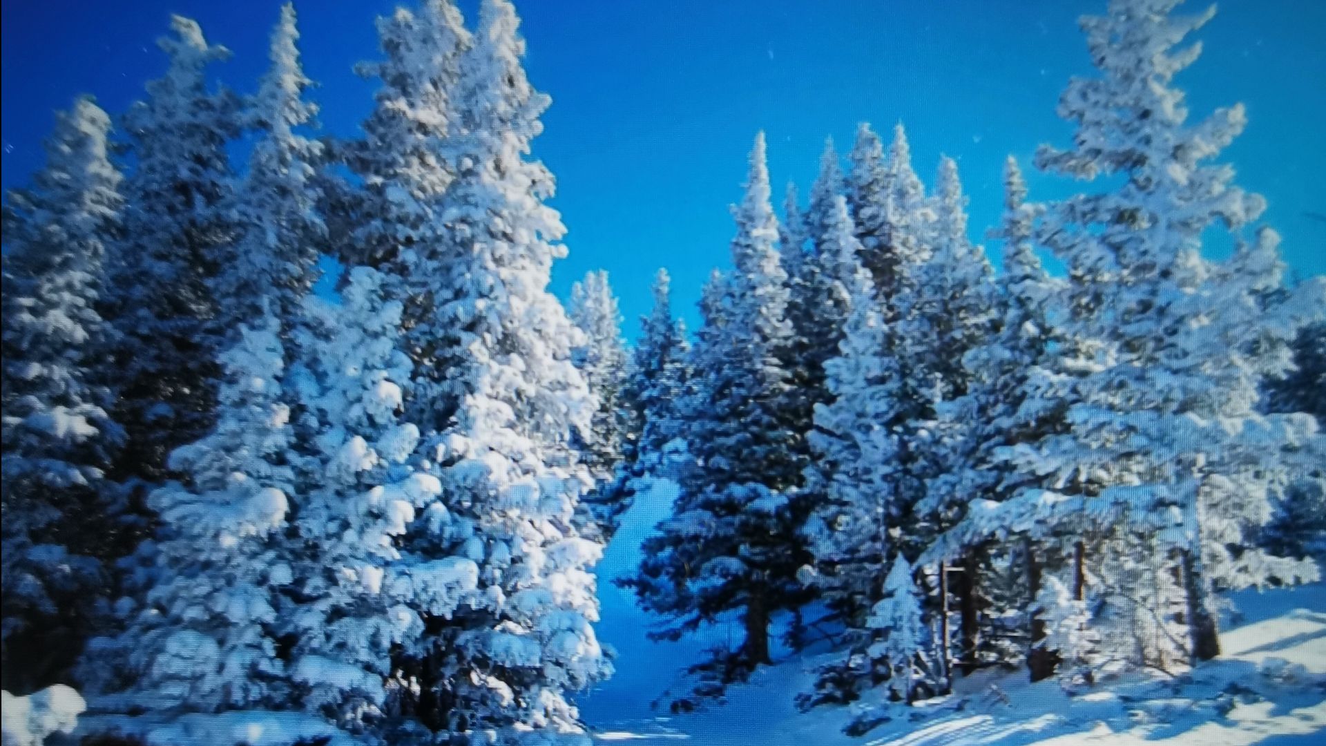 К друзьям старинным на Новый год