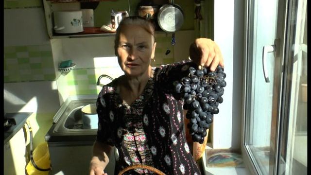 ВИНОГРАД 2014