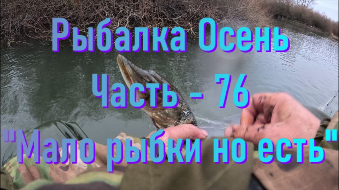 Рыбалка Осень. Часть - 76. "Мало рыбки но есть".