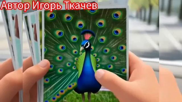 Песенки. В ЗООПАРК