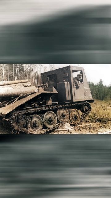 🌲🔥 Легенда родилась: История появления трактора ТДТ-40 #тдт40 #дизель #трактор #история #мтз #отз