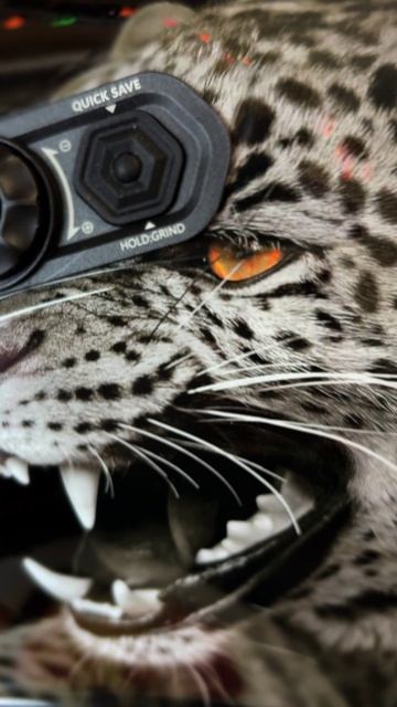 СКОРО! Новинка 2026 года от БАРСВЕЛД