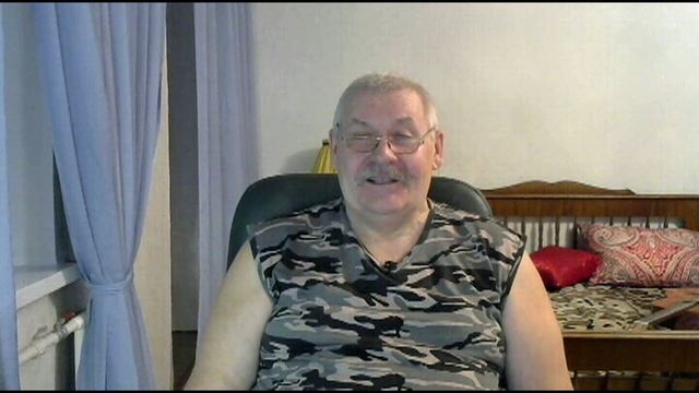 Как на моей даче подрались два кота