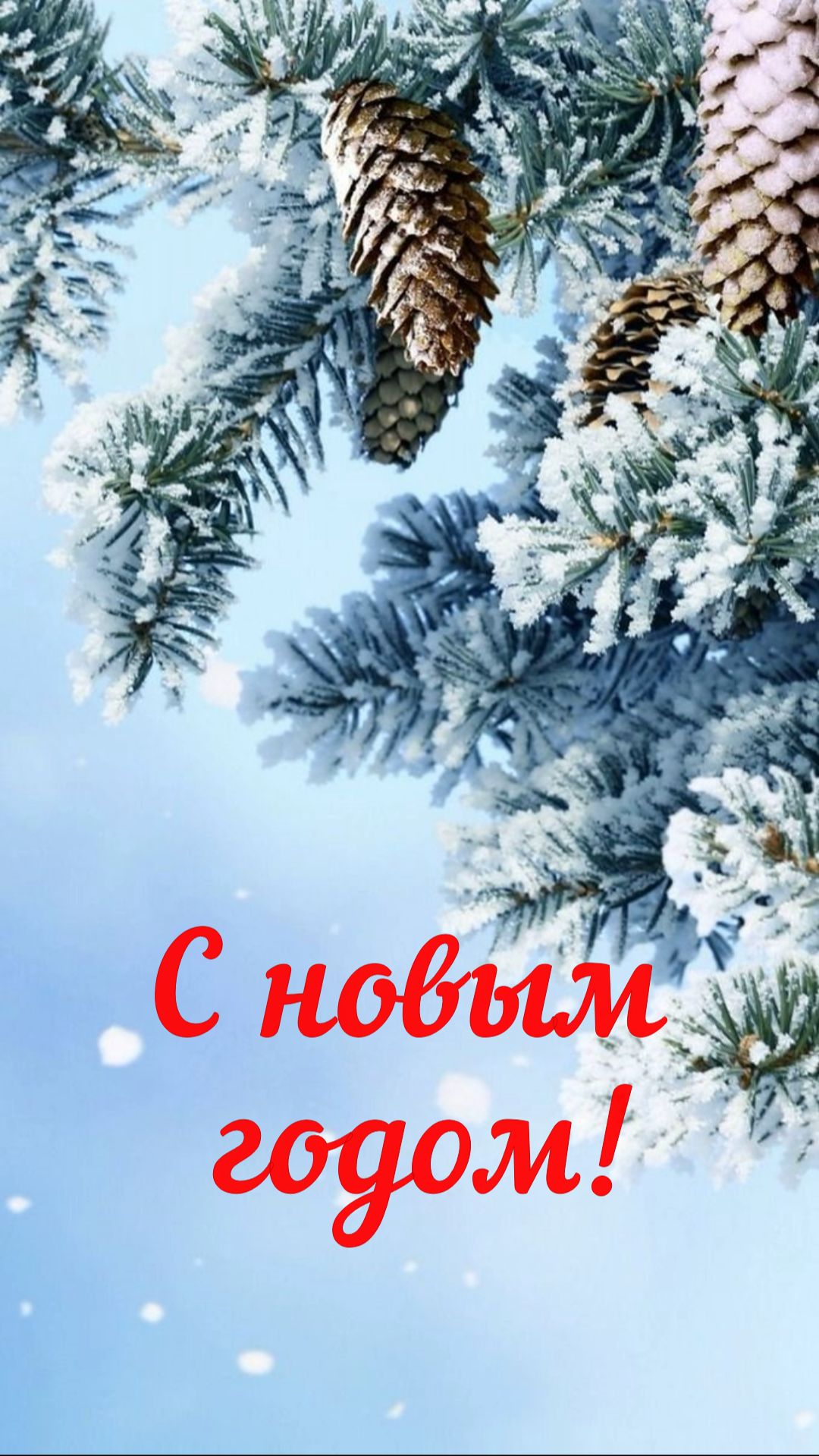 С НОВЫМ ГОДОМ (христианское пожелание)