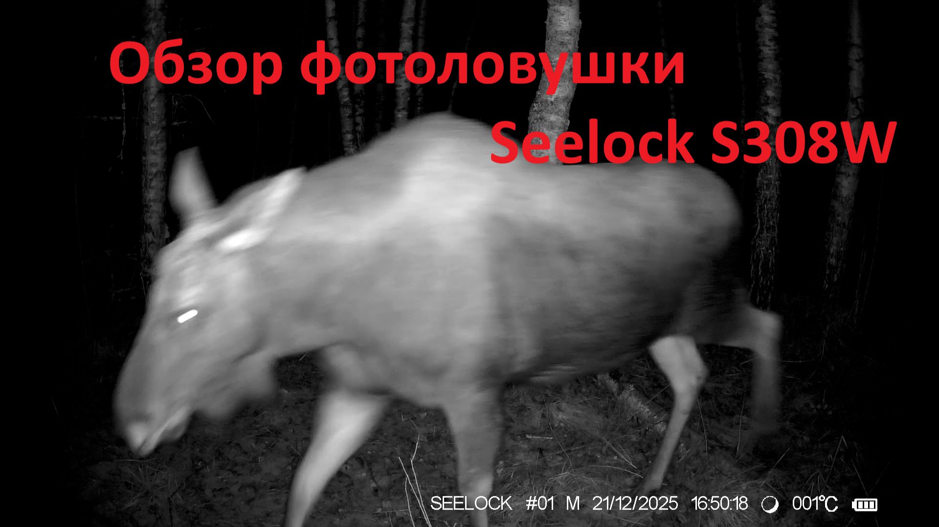 Обзор фотоловушки Seelock S308W