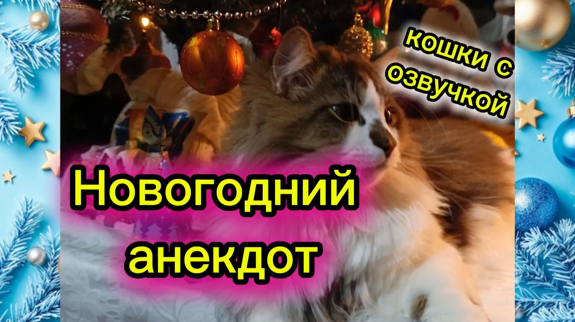 Новогодний анекдот. Кошки с озвучкой.