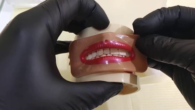 Антропометрический шаблон зоны улыбки и лица.