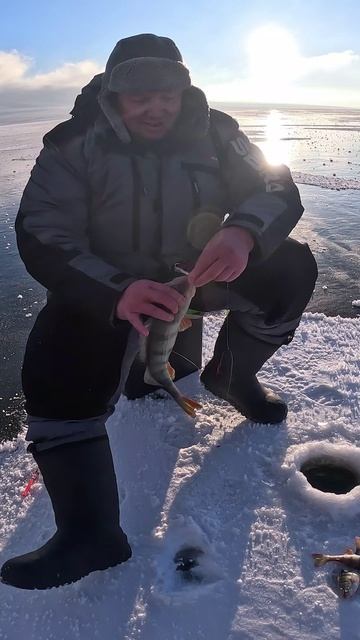 горбачи по перволёдку