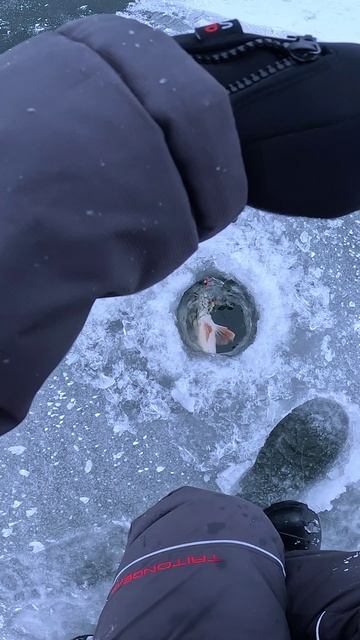 БАЛАНСИР РУЛИТ !!!