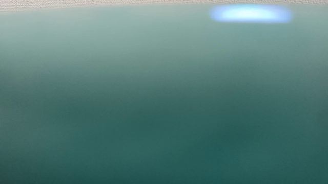 квест с Алисой (часть 2)