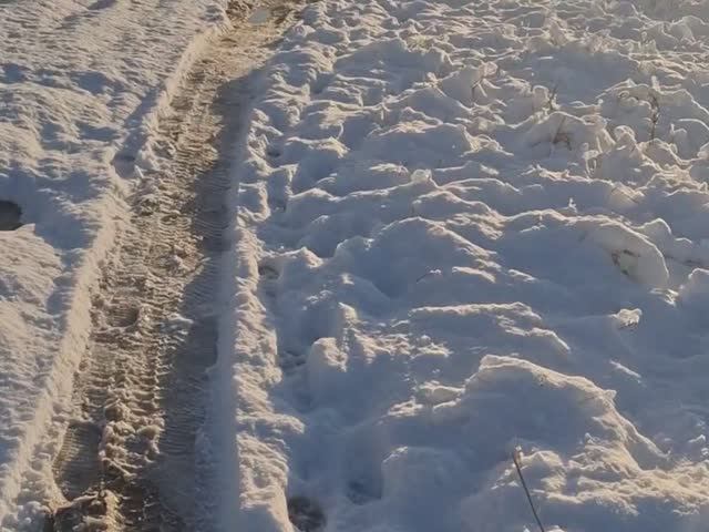 Середина ноября поездка на Светлое озеро