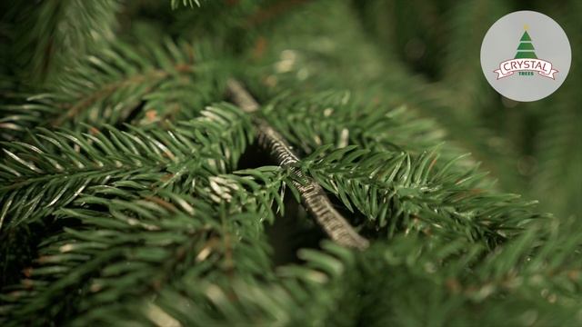 Шотландия до 2.5 метров комнатная подставка