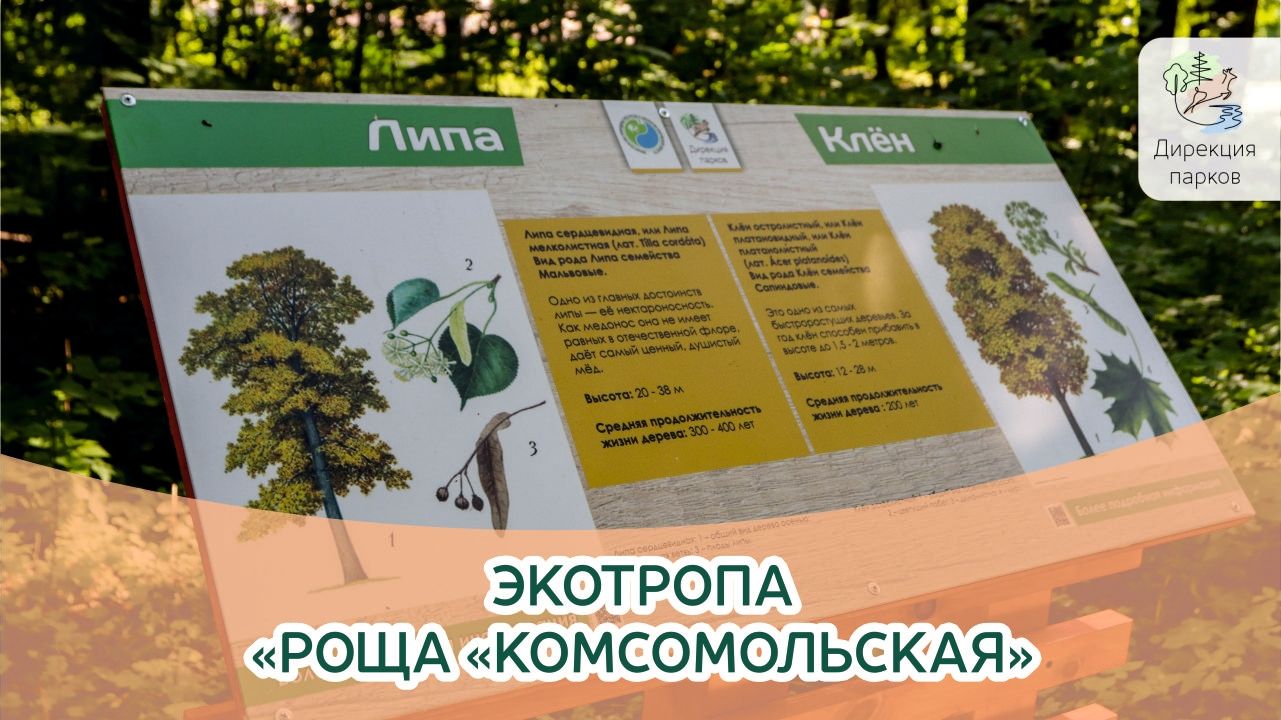 Экотропа на территории памятника природы  «Роща «Комсомольская»»