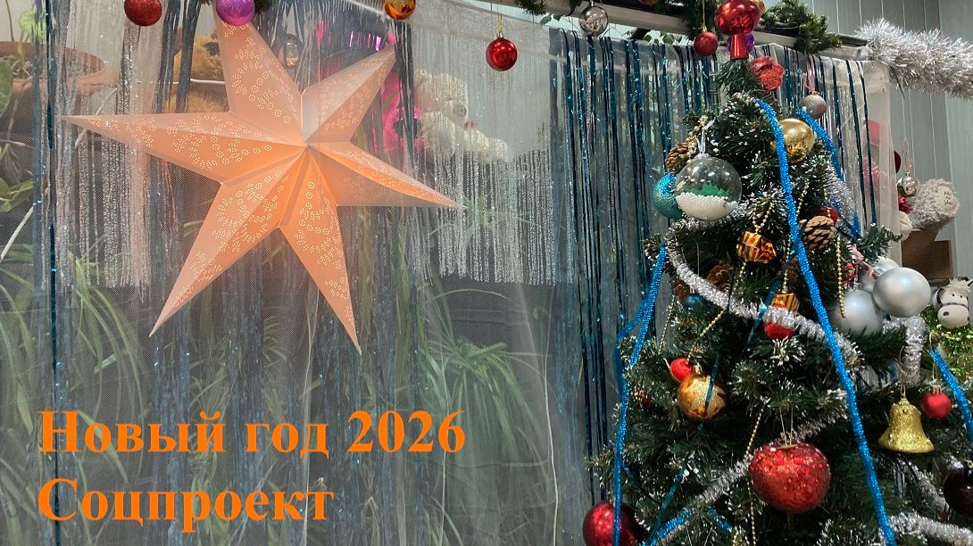 Новый Год 2026 Соцпроект