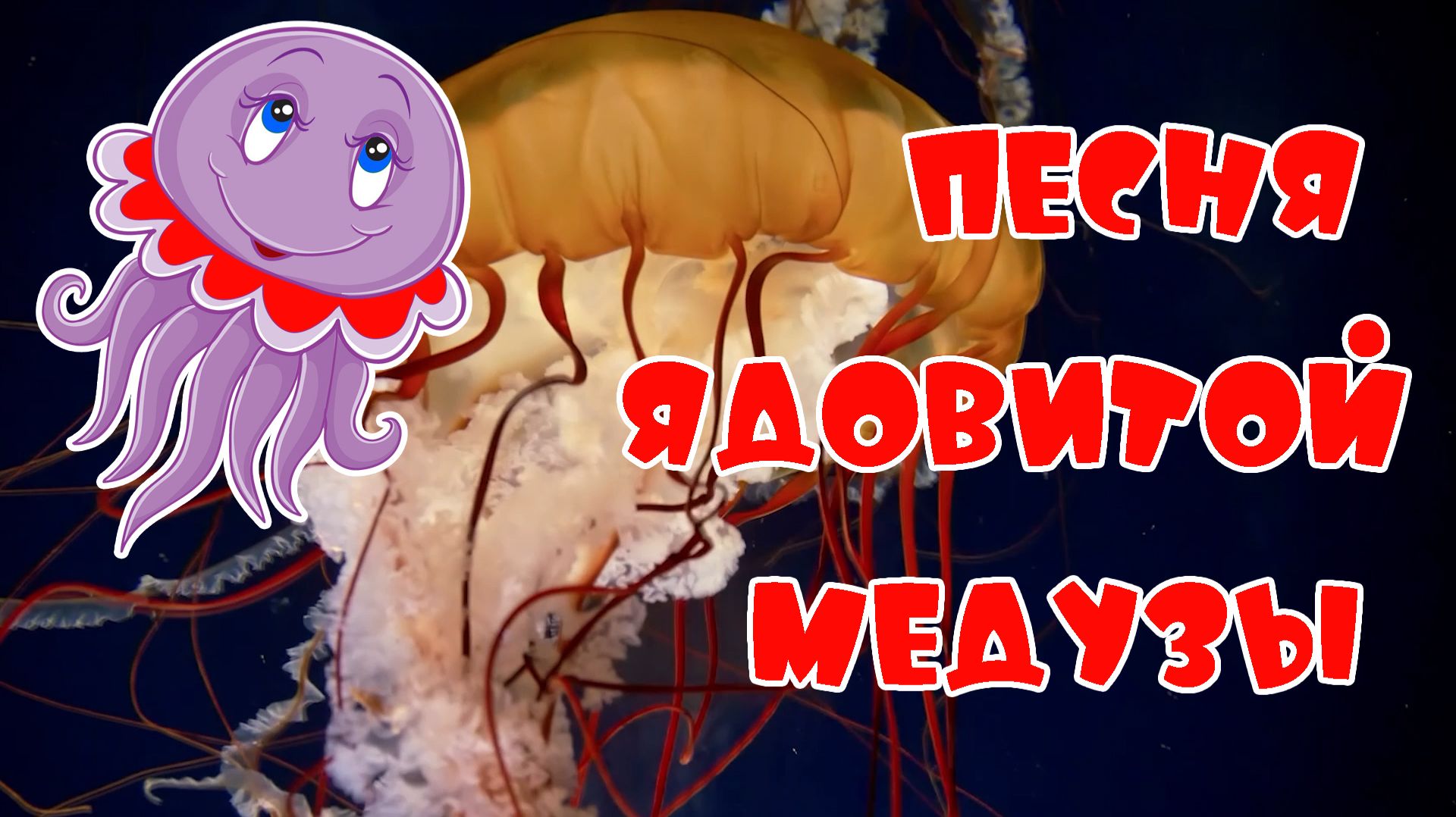 Песня Ядовитой Медузы. Автор стихов и музыки Елена Лемехова. Поёт Ева.