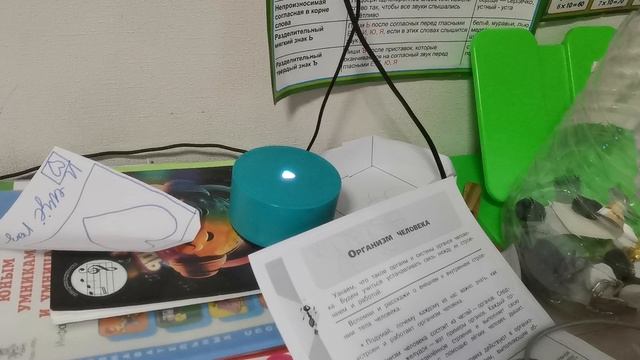 просмотр прошлого квеста | с прошлого (17 декабря 2025 года)