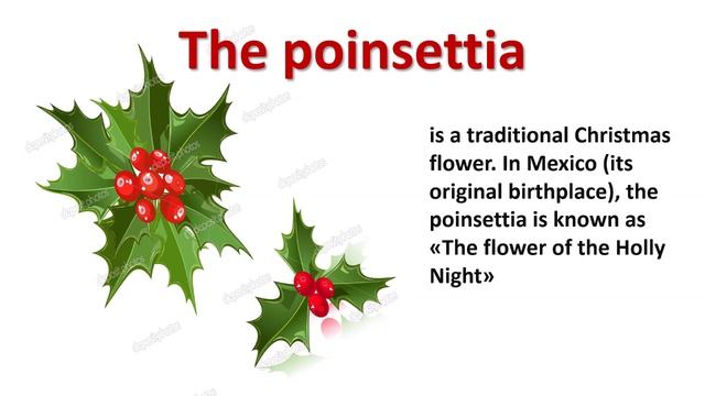 Маша из 8кл.Е рассказывает интересные факты о Рождестве