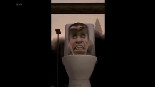 скибиди туалет 5-8