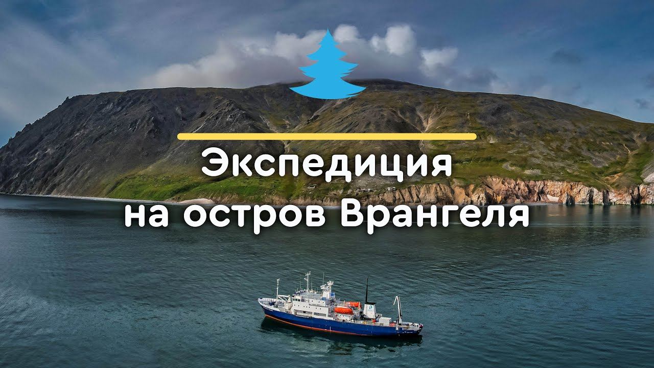 Экспедиционный круиз на остров Врангеля, Чукотка