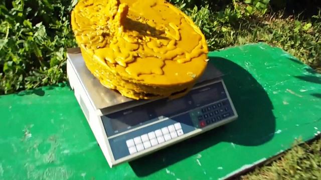 Выход воска из мервы