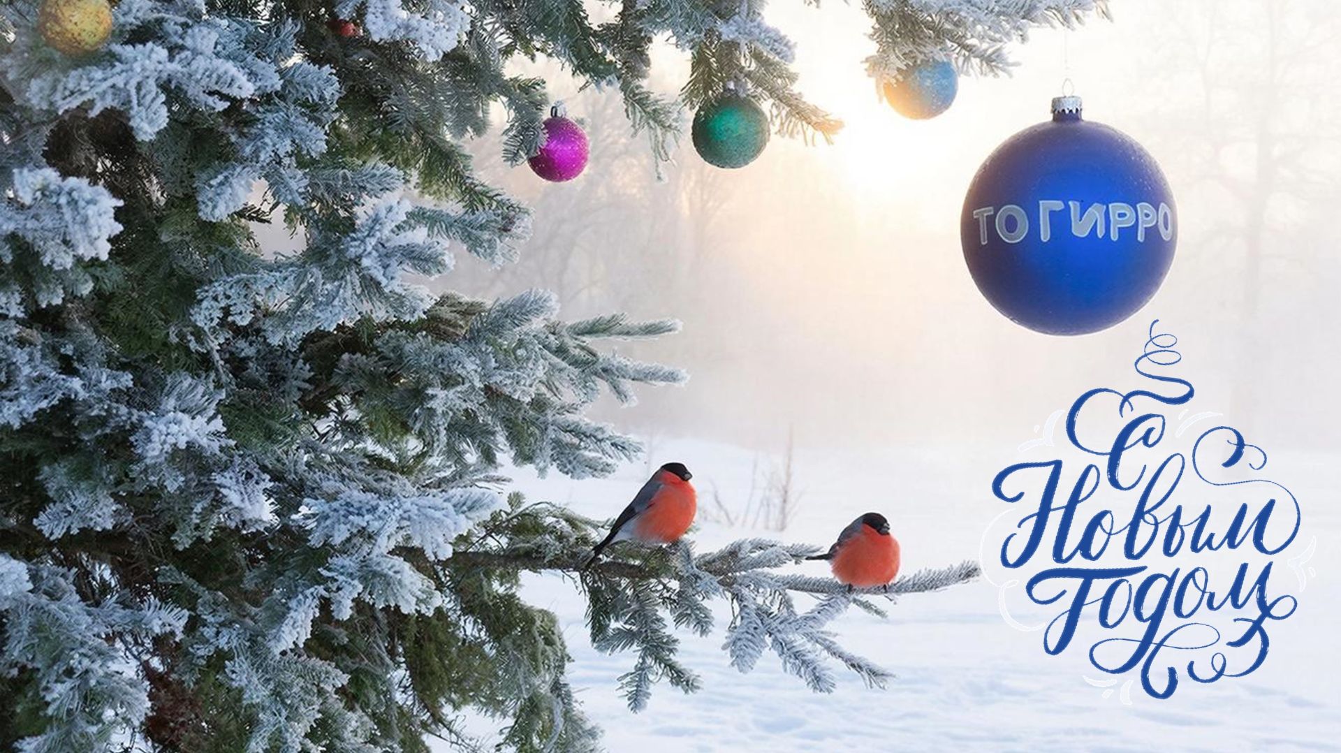 Новогоднее поздравление ректора ТОГИРРО Веры Соловьевой