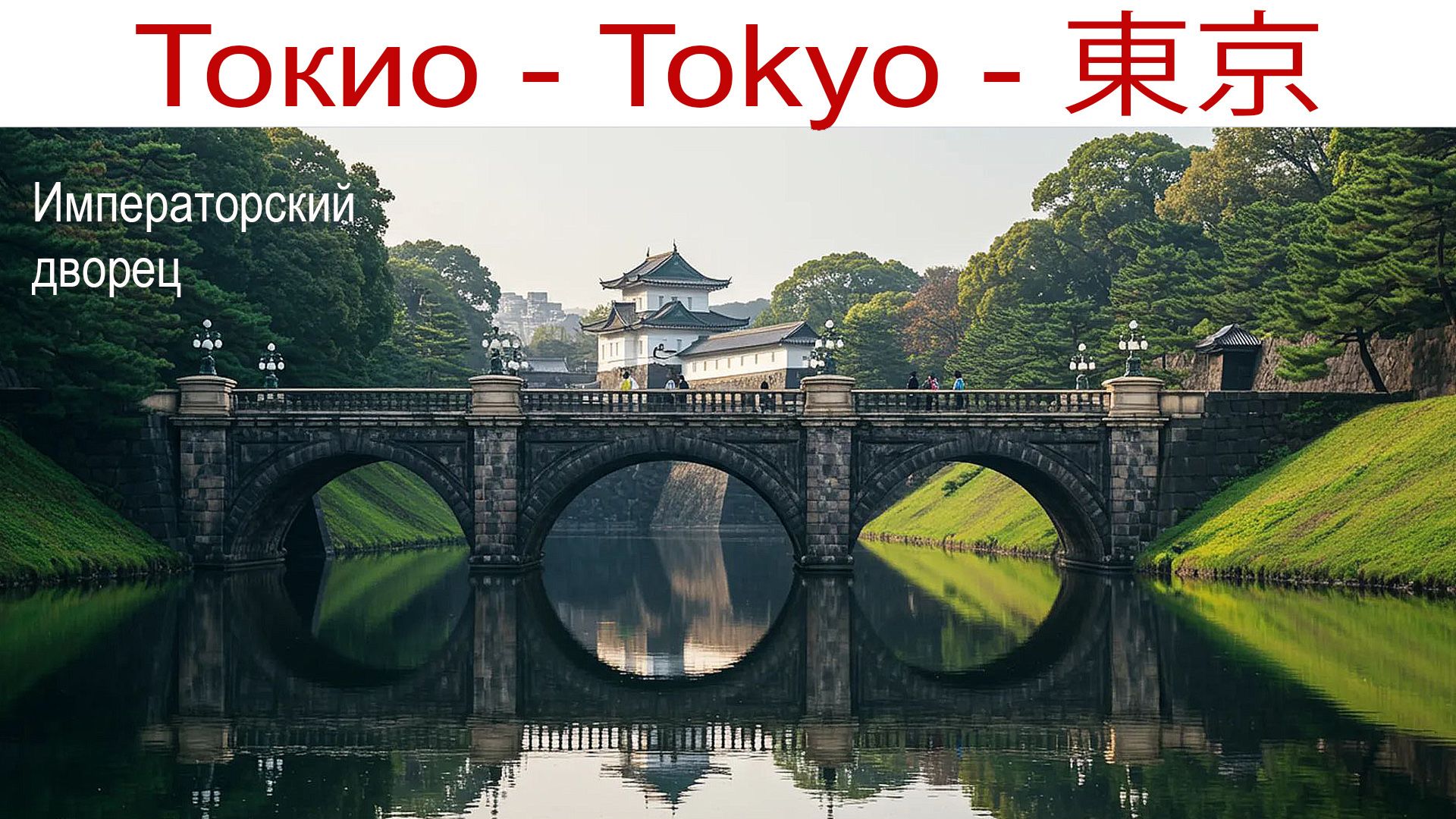 Восточные сады Императорского дворца и злачные места ночного Токио
