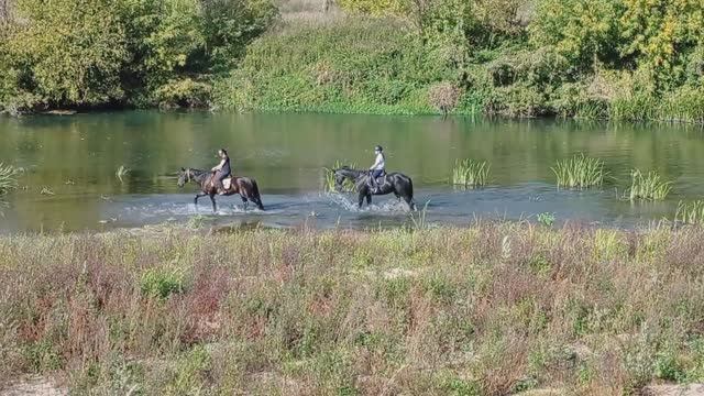 Летняя прогулка верхом