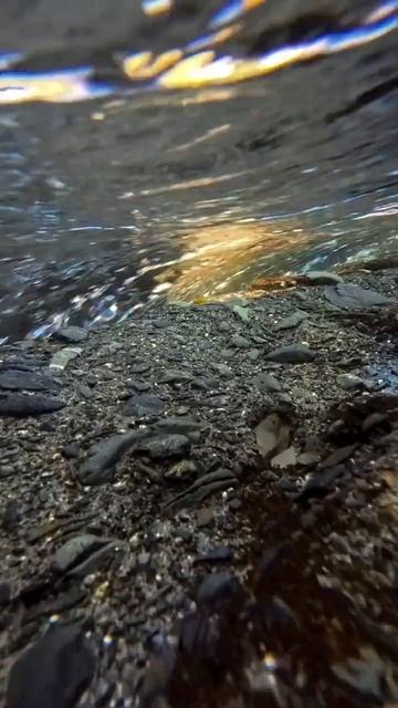 Подводная красота