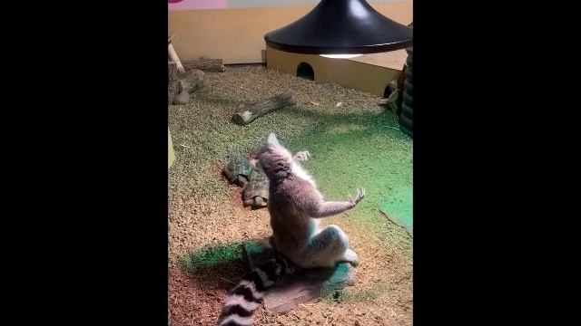 Весёлая подборка - 8 🤣