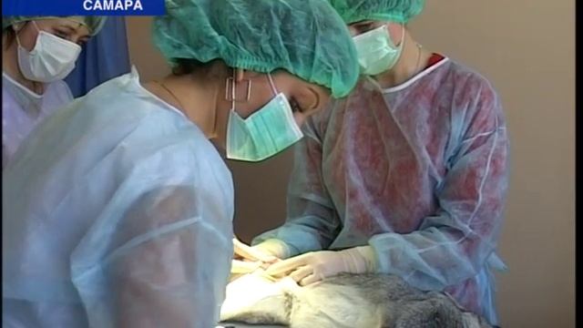 Банк тканей, ЦНИЛ и ИЭМБ СамГМУ. Репортаж Вести. Осторожно, инновации!