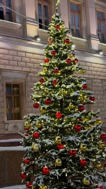 Новогодний Петербург