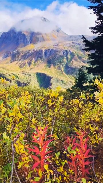 "Страна моя"...🌍