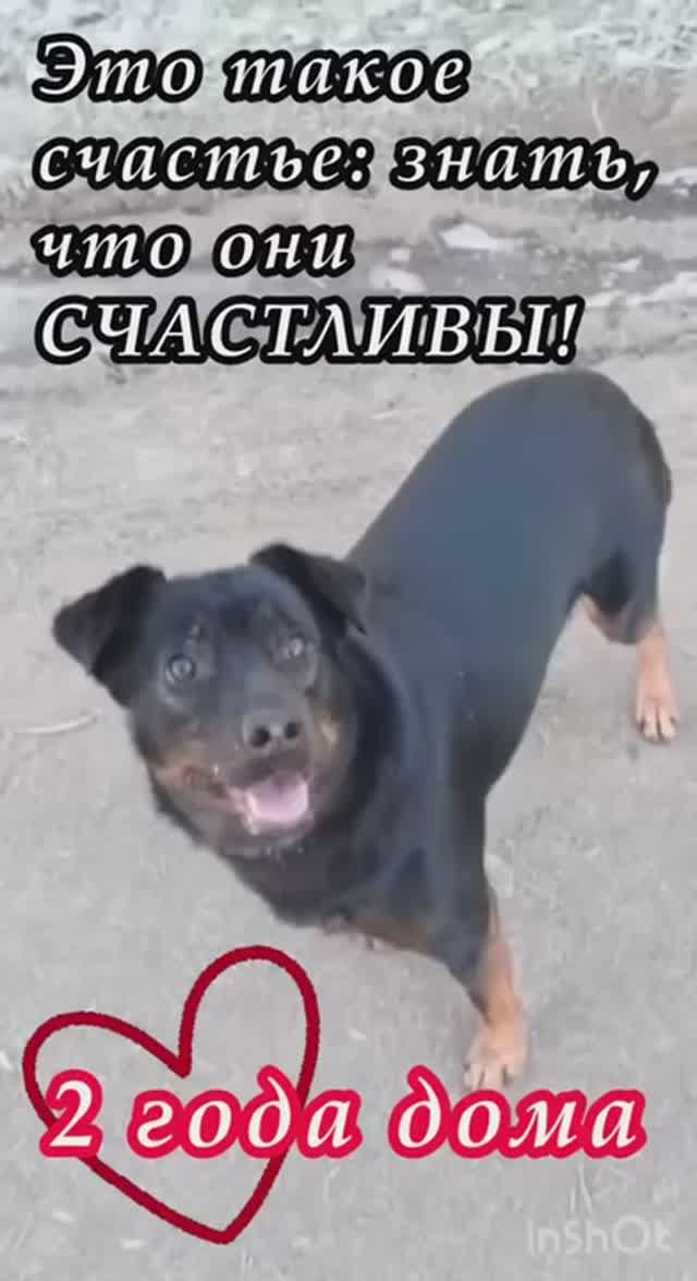 Это такое счастье: знать, что они СЧАСТЛИВЫ! 2 года дома