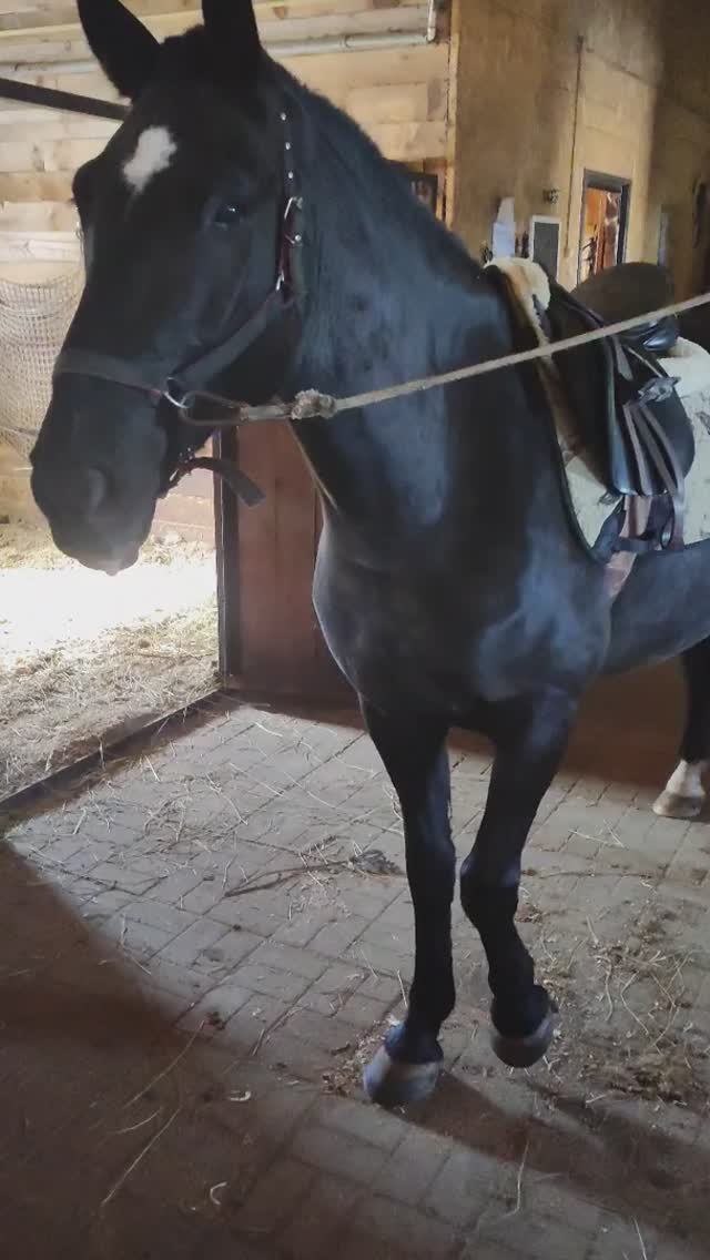 Угощение для Красавчика