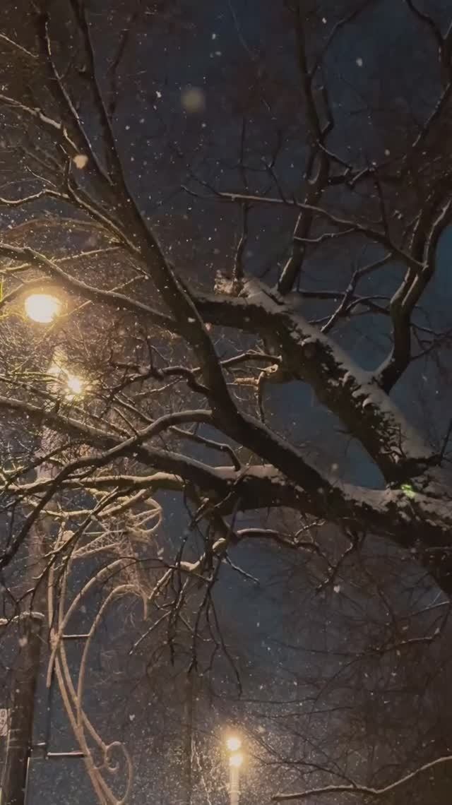 Зимний Петербург