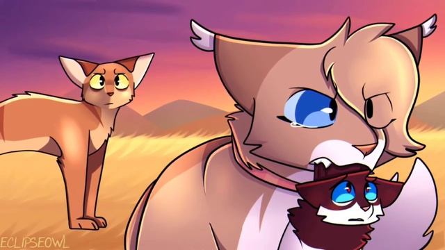 Темнохвост и Дымочка/Мап/Коты воители