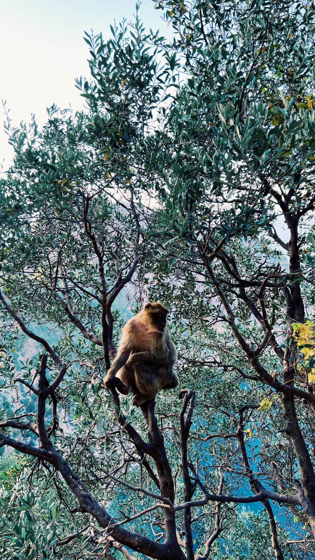 Алжир 🇩🇿 2022