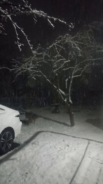 Шестой снег...